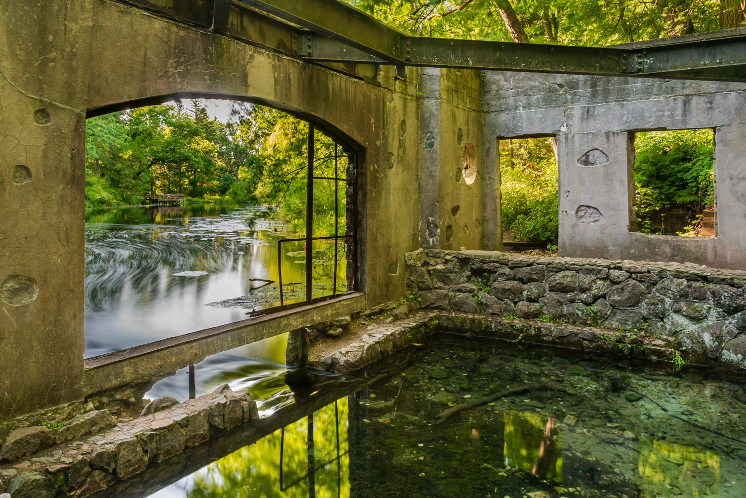 Paradise Springs – Dave Giroux Photography